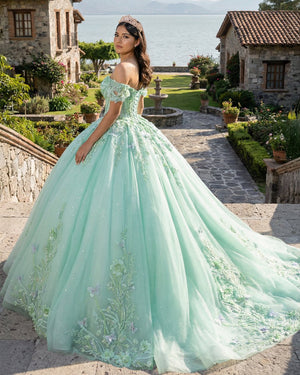 Exquisite Princess Ball Gown Cap sleeve Quinceanera Dresses with 3D Ap
